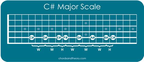 C Major Scale On Guitar Chords And Theory