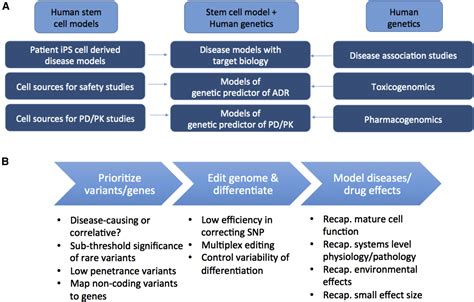 Combining Hipscs And Human Genetics Major Applications In Drug Development Cell Stem Cell