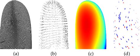 Figure 1 From Synthesis Of Multi View 3d Fingerprints To Advance Contactless Fingerprint