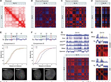 Figure 3 From Comprehensive Mapping Of Long Range Interactions Reveals Folding Semantic Scholar