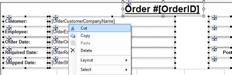 Code On Time Sample Applications Order Form Report Multi Level Grouping