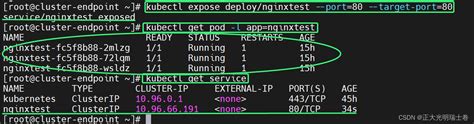 【云原生k8s】kubernetes之servicekubectl 启动service Csdn博客