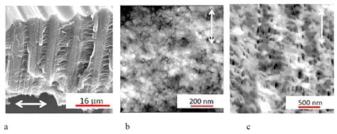 Membranes Free Full Text Functionalization And Surface Modification Of Mesoporous