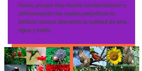 Convención Para La Protección De La Flora De La Fauna Y De Las