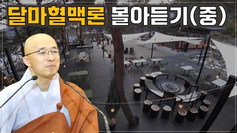 법상스님의 달마 혈맥론 몰아듣기중 Youtube