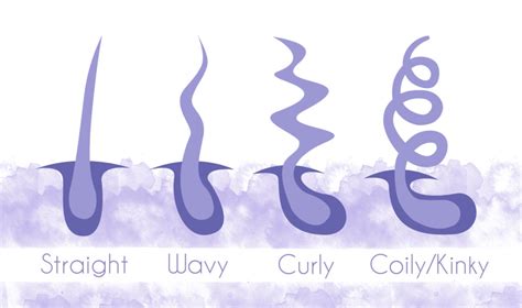 Different Beteewn Curly Hair Types And Hair Curl Pattern