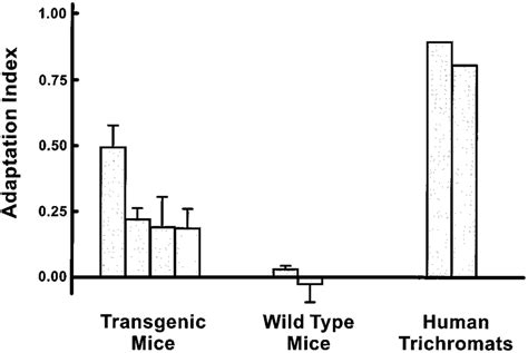 Results From A Chromatic Adaptation Test The Adaptation Index Is Based Download Scientific