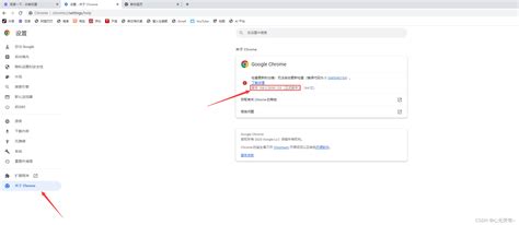 Chromedriver安装教程【无需翻墙】 阿里云开发者社区