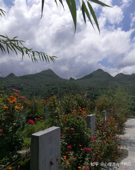 大山深处的英魂 知乎