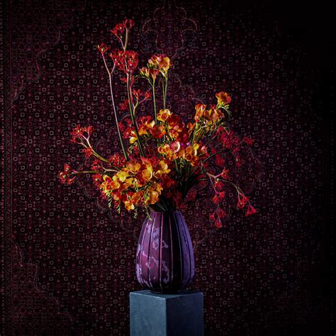 Jatropha Firecracker Marginpar