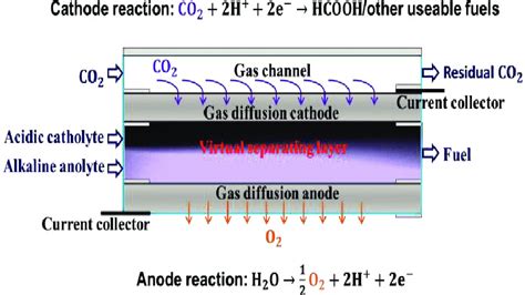 Schematic Diagram Of A Demr Nb The Virtual Separating Layer Is