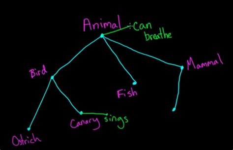 Chapter 9 Conceptual Knowledge Flashcards Quizlet