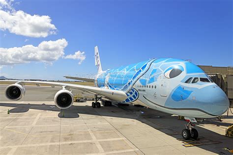 Airbus A380 800 Aviation Image Network