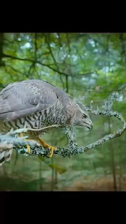 Othman Gueddana On Linkedin Nature Inspired Systems Has Always Been