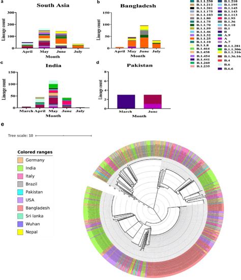 Mapping Of The Transmission Lineages Of Mutated Sars Cov 2 Originated Download Scientific