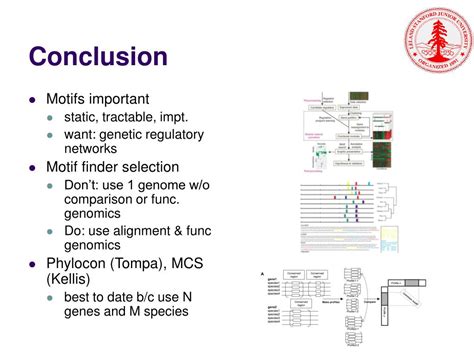 Ppt Regulatory Motif Finding Ii Powerpoint Presentation Free