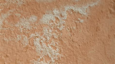 빗물 누수가 된 벽에서 하얗게 올라온 가루석회질 추정 Youtube