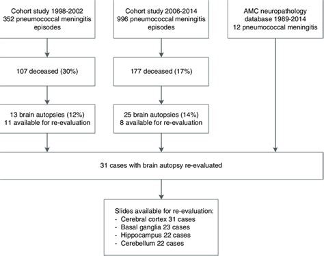 Flow Chart Patient Selection Download Scientific Diagram