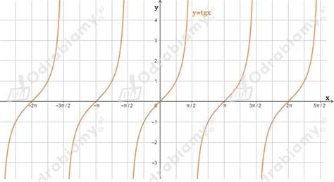 Analiza Wykresy Funkcji Y Tgx W Matematyce Shofer