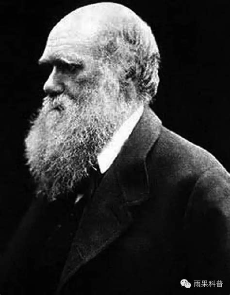 “进化论之父”达尔文简介（查尔斯·罗伯特·达尔文） 人物集