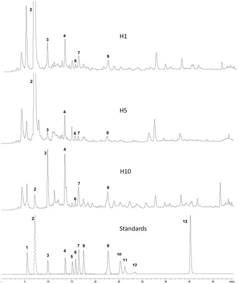 Representative Chromatograms Of Honey Extracts And Standards Hplc Dad Download Scientific