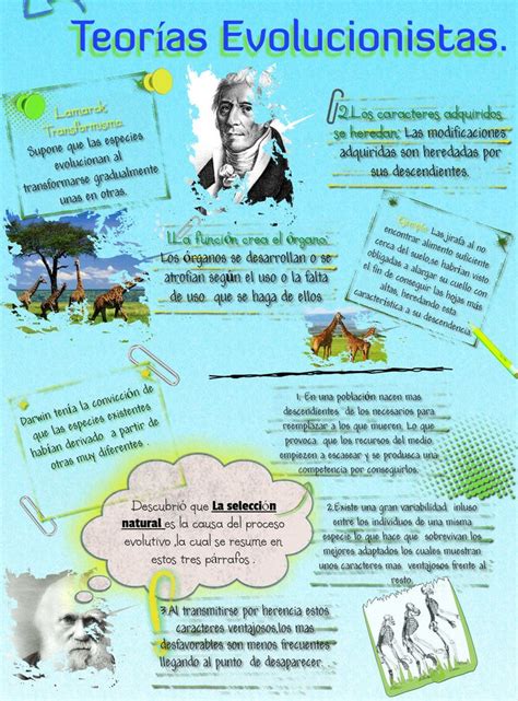 Teorías Evolucionistas Notas De Biología