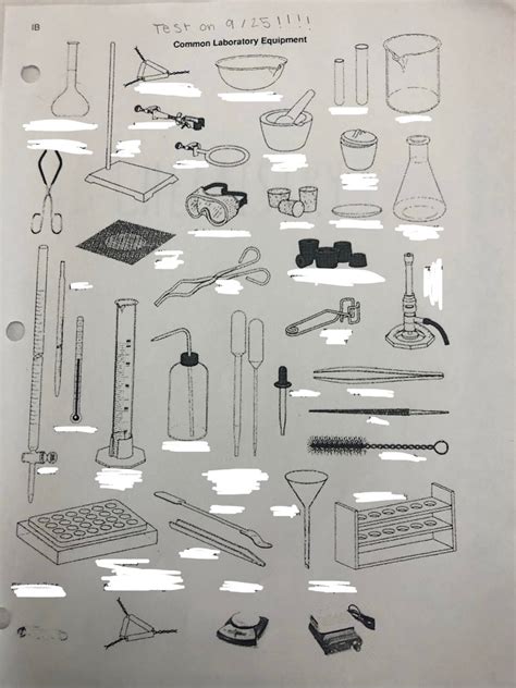 Common Laboratory Equipment Diagram Quizlet