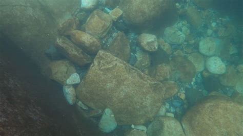 물 속을 헤엄치는 작은 물고기들 드롭샷 스톡 영상 무료 다운로드