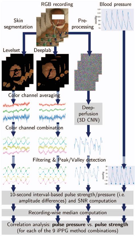 Figure 1 From Improved Pulse Pressure Estimation Based On Imaging