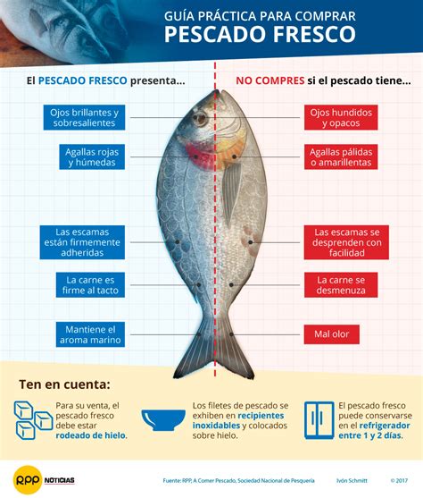 Semana Santa El Pescado Pierde El 40 De Sus Nutrientes Cuando Se Come