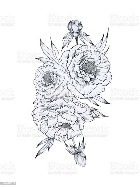 흑백 모란 꽃다발 그래픽 손이 고립된 배경에 그려져 있다 채색과 문신을 위한 스케치 스타일의 나뭇잎이 있는 꽃의 배열 엽서의 윤곽선 구성 라인아트에 대한 스톡 벡터 아트 및
