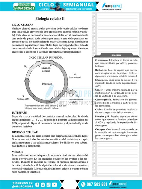 4biología Celular Ii Pdf Mitosis Mitosis