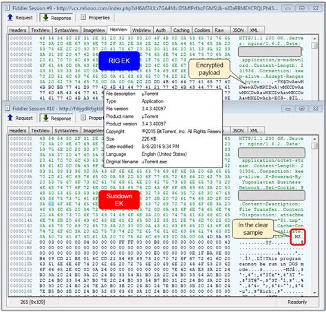 Malvertising Campaign Delivers Two Exploit Kits Same Payload