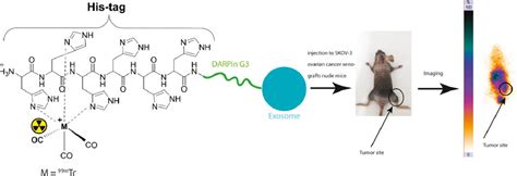 Radioisotopes Diagram