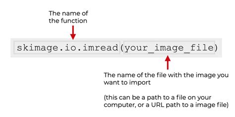 How To Import An Image Into Python With Skimage Imread Sharp Sight