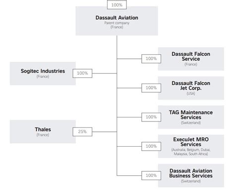Shareholding Structure And Organization Chart