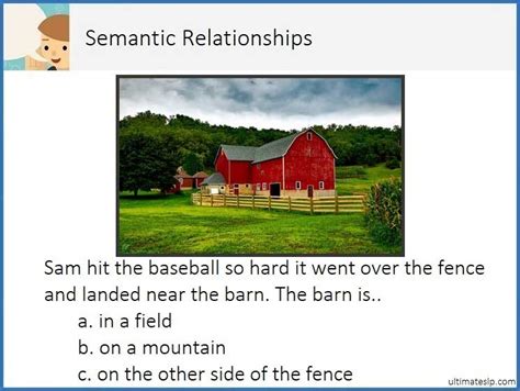 Semantic Relationships Cards Ultimate Slp