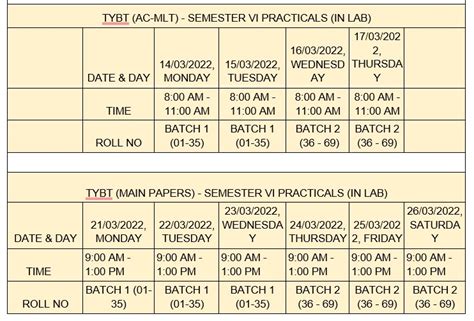 Timetable Of Semester Vi Tybsc Practical Examination Regular March 2022 Hindi Vidya Prachar