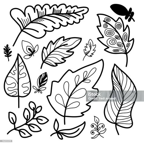 열 대 잎 낙서 스타일 색칠 페이지 스티커 장식 엽서 벡터 일러스트 레이 션입니다 0명에 대한 스톡 벡터 아트 및 기타 이미지 0명 관목 나무 Istock