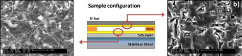 Schematic Representation Of The Sample As Prepared And FE SEM Images Of Download Scientific