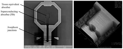 Right A Scanning Electron Microscopy Image Of A 50 µm Squid With Nb Download Scientific