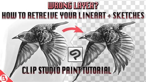 Wrong Layer How To Save Your Lineart And Sketches CLIP STUDIO PAINT TUTORIAL YouTube