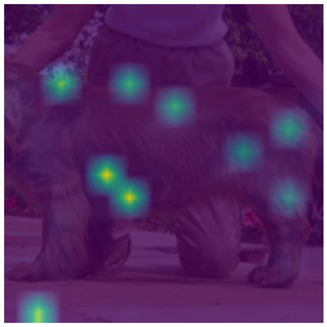 python pytorch vision transformer how visualise attention layers