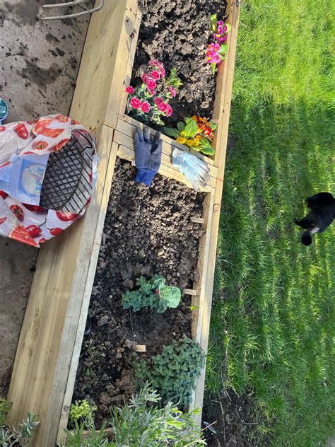 Clumpy Soil Rgardeninguk