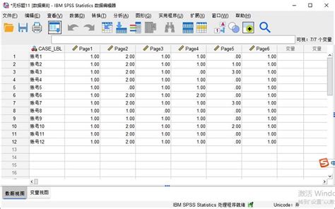 SPSS数据重构转置所有数据 IBM SPSS Statistics 中文网站