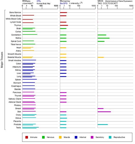 chtf18 gene genecards ctf18 protein ctf18 antibody