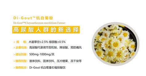广东青云山药业提供Di Gout有机杭白菊提取物降尿酸 FoodTalks食品供需平台