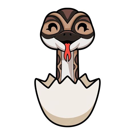 Premium Vector Cute Python Molurus Bivittatus Cartoon Inside An Egg
