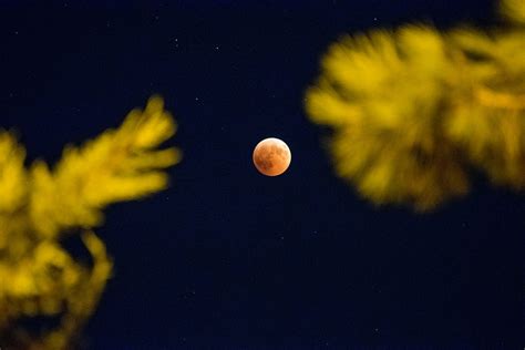 Deploy Laravel 10 Inertia Vue 3 Tailwind Ssr Shared Hosting By Muhammad Farkhan Syafii Medium