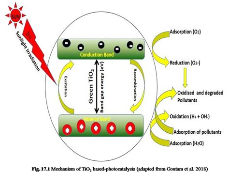1 Mechanism Of TiO2 Based Photocatalysis Adapted From Goutam Et Al 2018 Download Scientific